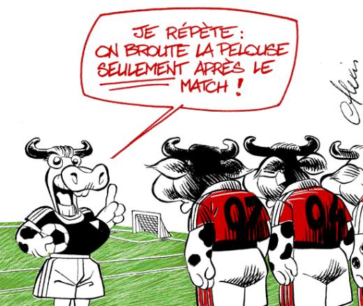 VACHES SACREES: HUMOUR
