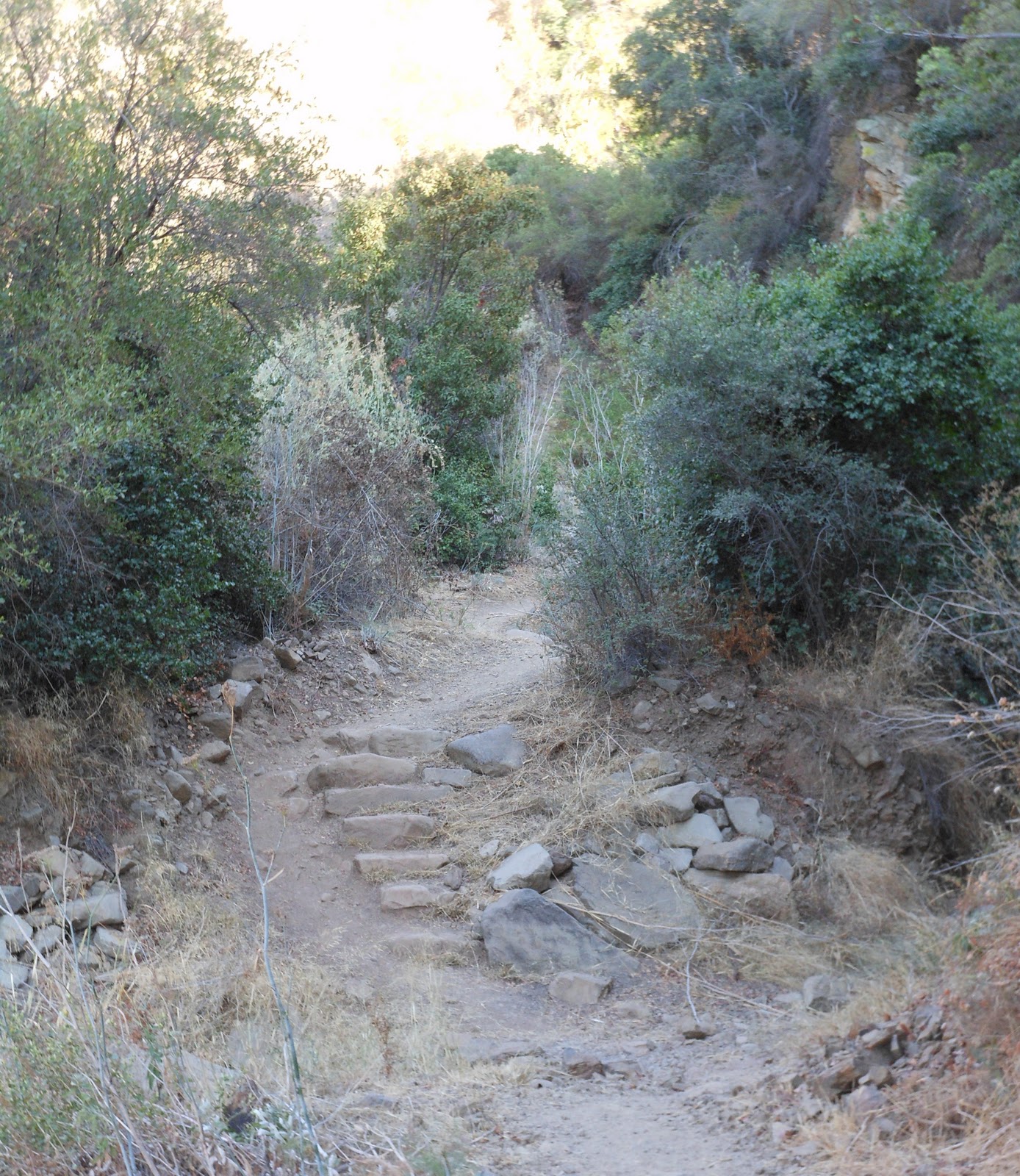 1000 Hikes in 1000 Days: Completing Days 300 - 309: Cozy Dell Trail