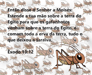 Êxodo 10:12-15