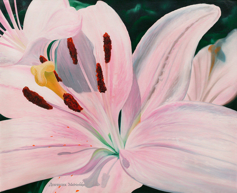 Коллекция картинок: Чудные цветы художника James Knowles