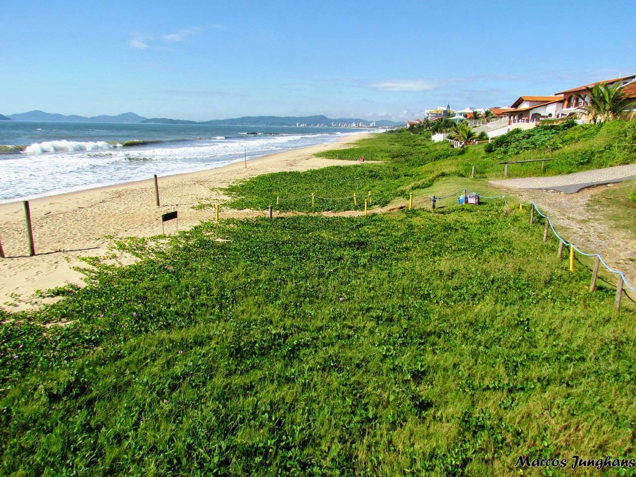 Blog do Marcos Junghans: Nossa Vegetação de Restinga