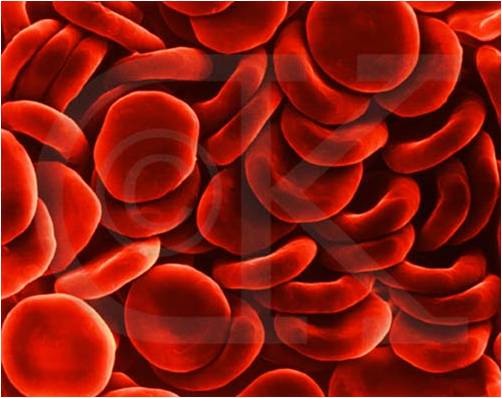 Kimeni's Blog: Darah