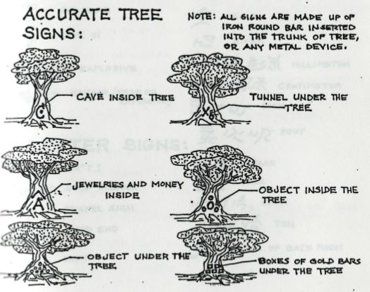 The Treasure Beaches Report Direct From Florida's Treasure Coast.: 12/6 ...