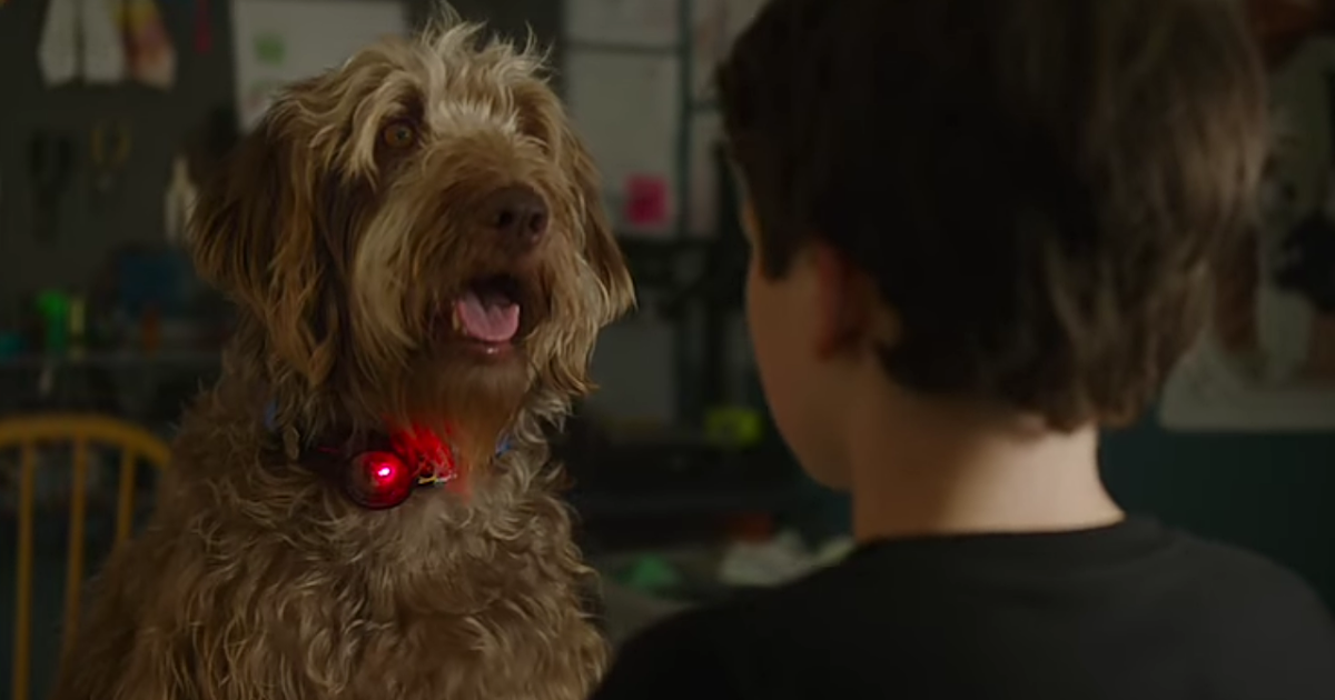 Think Like A Dog (Movie Review)