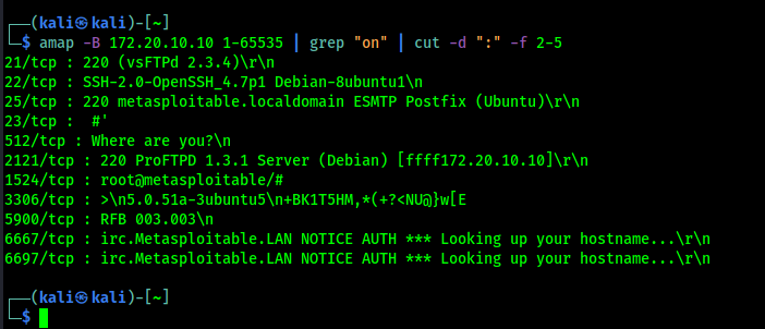 Amap - Gather Info in Easy Way