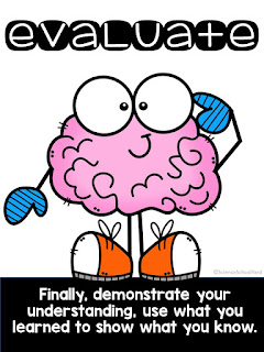 The 5 E Model In Your Science Classroom - The Science School Yard