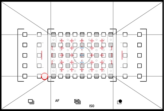 RiceHigh's Pentax Blog: SAFOX 13 (in K-3 III)
