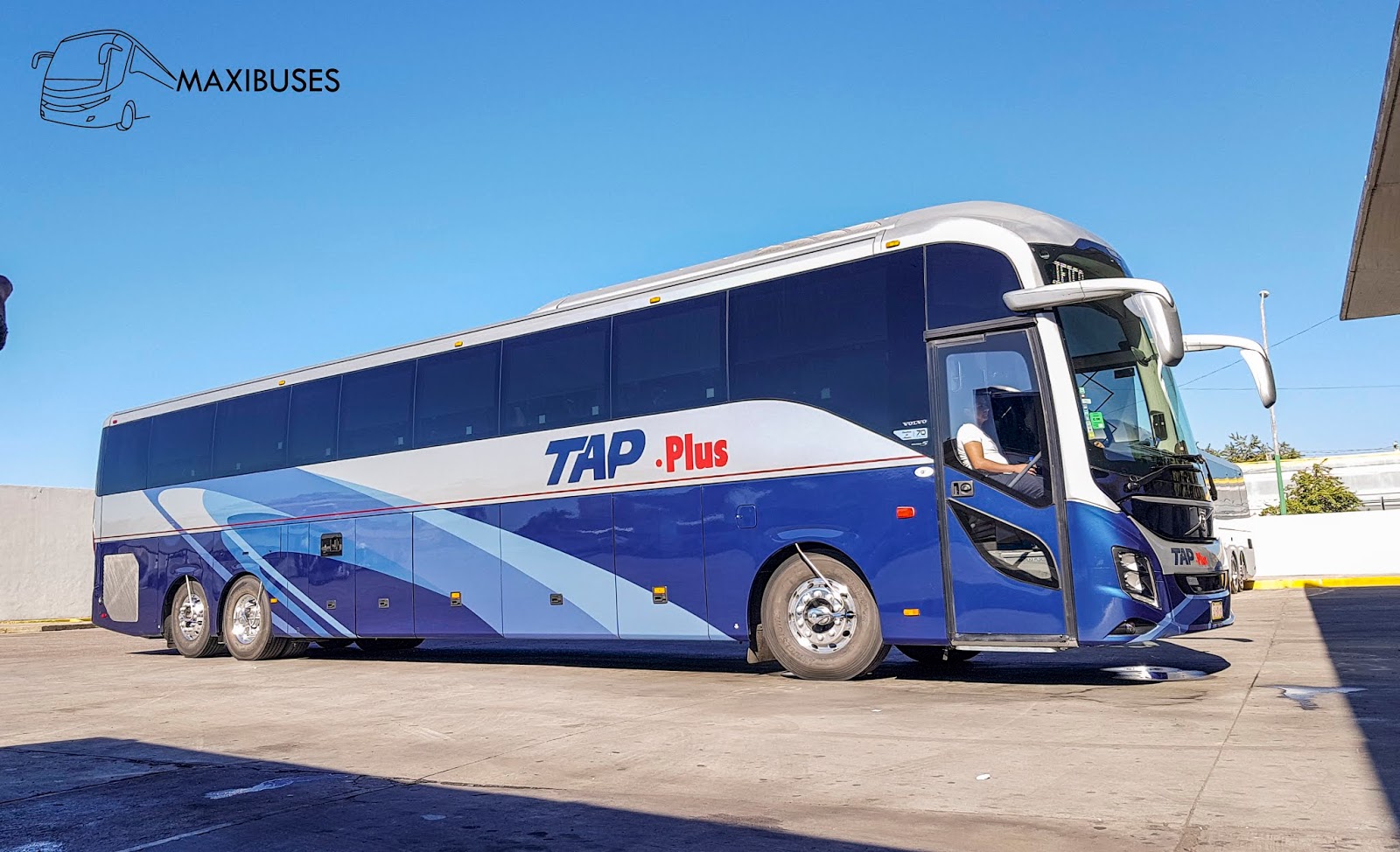 MAXIBUSES: TRANSPORTES Y AUTOBUSES DEL PACÍFICO, PLUS (TAP)