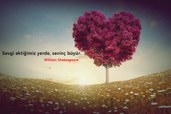 hayata dair: SEVGİ