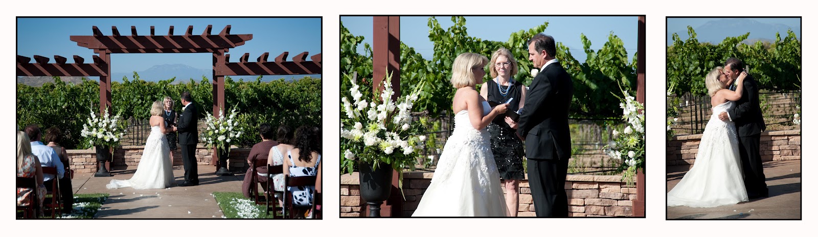 Will You Marry me Photography: Nichole and Tim | Wiens Winery | June 18 ...