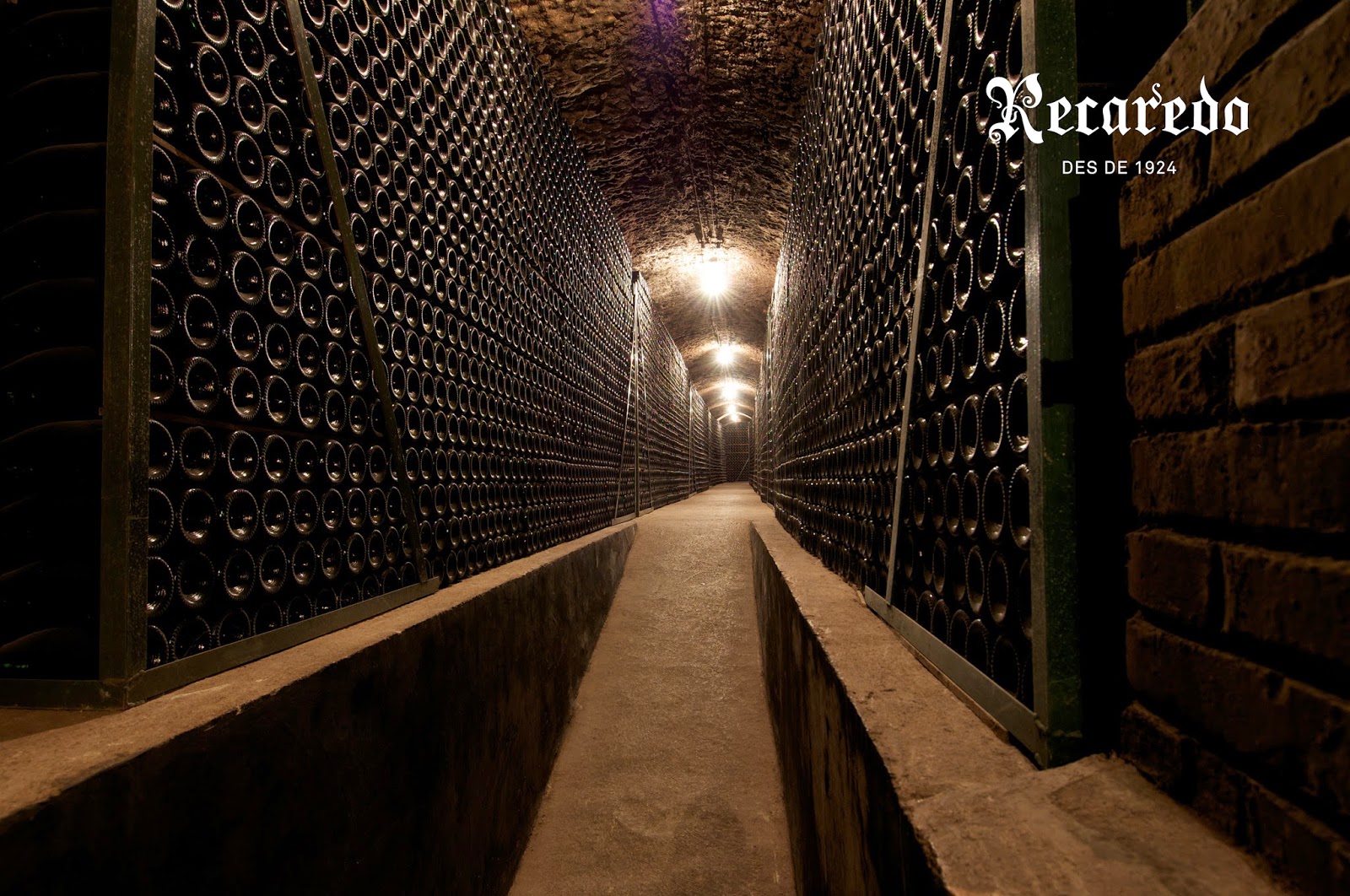Cavas Recaredo winery, Sant Sadurni D'Anoia, Spain