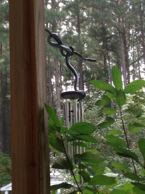 Miss Phoebe's Perch: A snake in the grass, or at least one on the wind ...