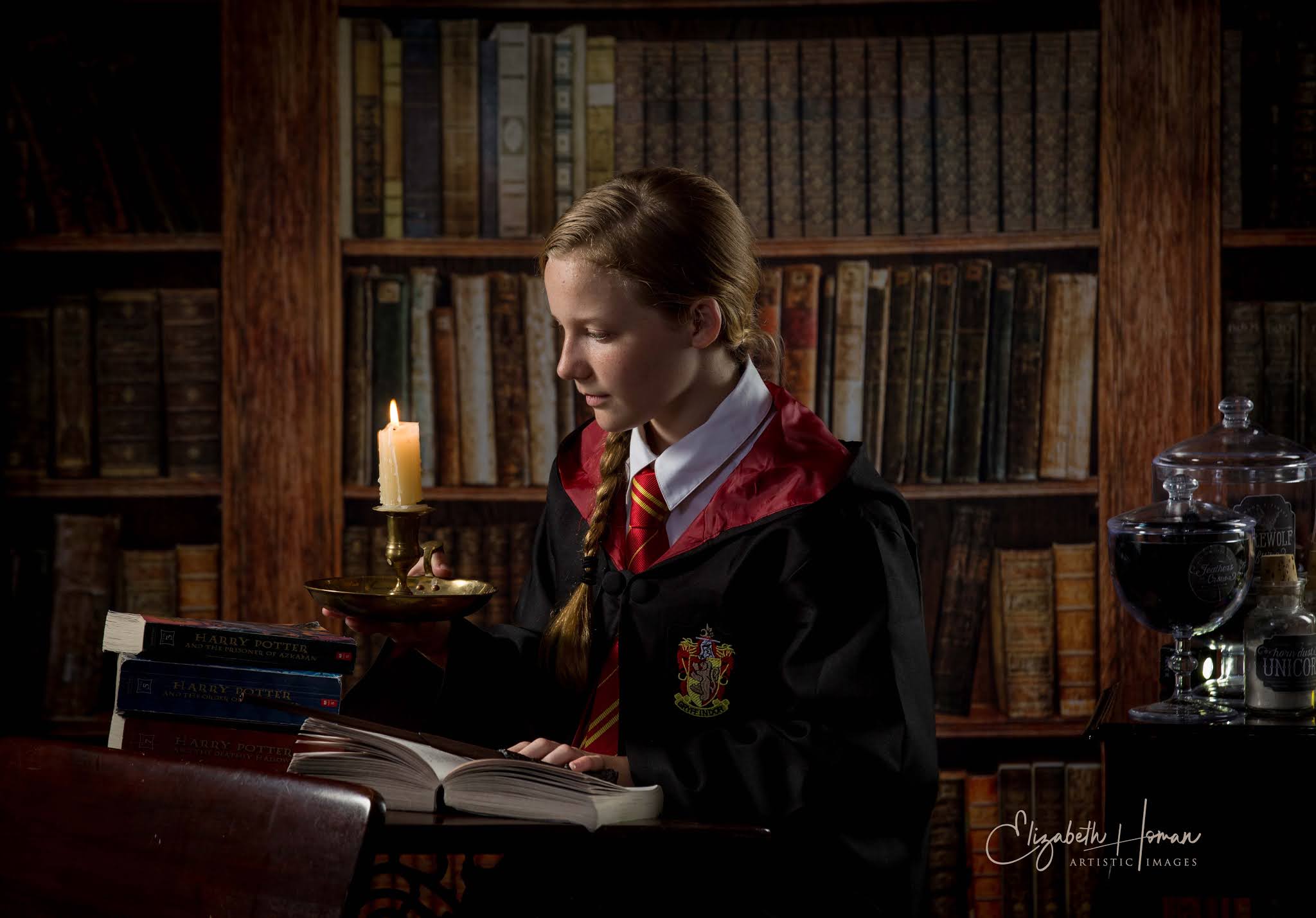 The Artistry of Elizabeth Homan: A Wizarding World {A Limited Edition ...