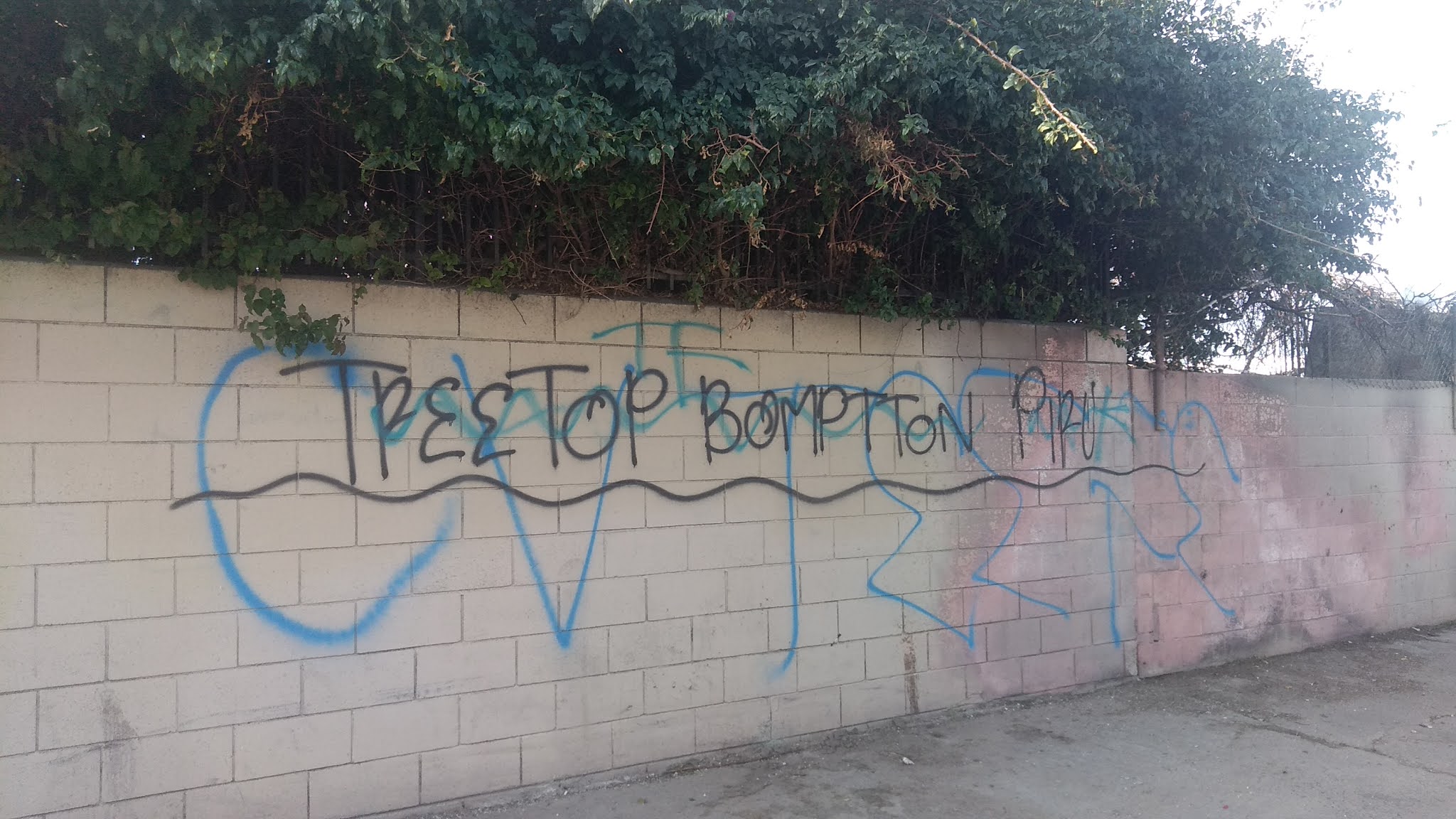 blood piru brims gangs graffiti: Tree top piru ( compton )