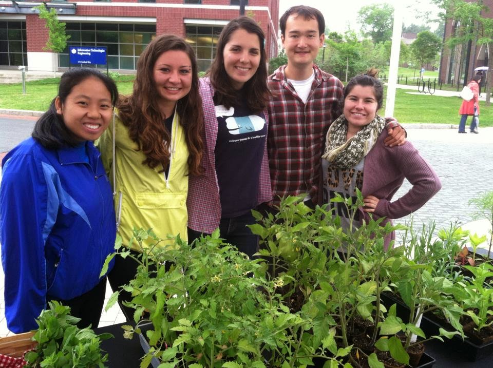 EcoHouse at Spring Valley Student Farm: July 2014