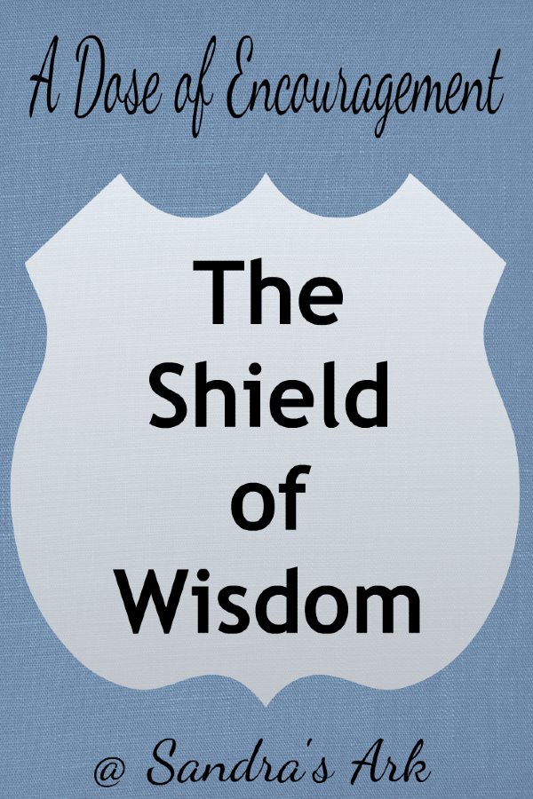 Sandra's Ark: A Shield of Wisdom - Dose of Encouragement