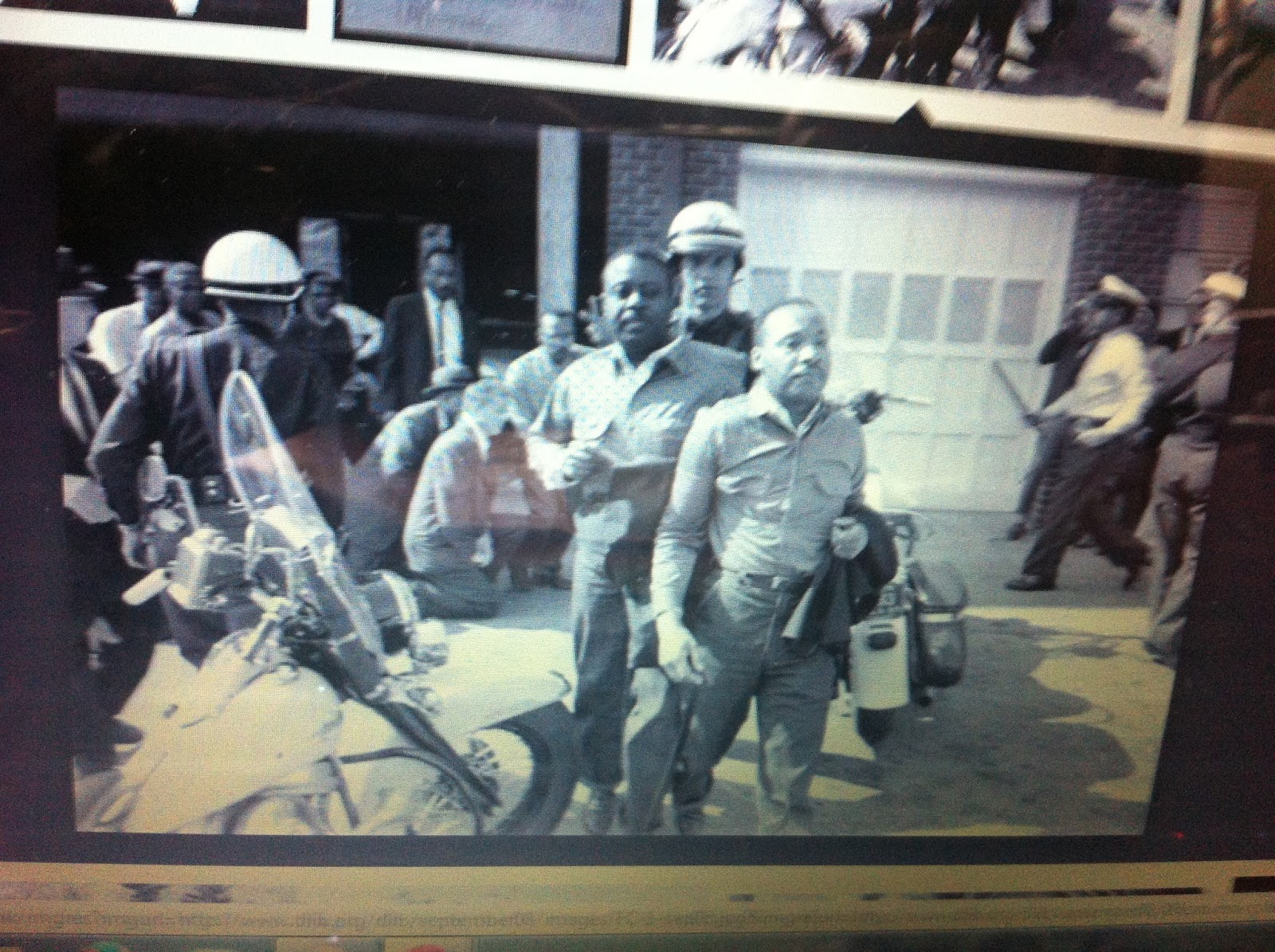 THE BLACK SOCIAL HISTORY:: BLACK SOCIAL HISTORY : ALBANY MOVEMENT WAS A ...