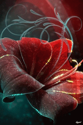 MUJERES DE EXCELENCIA INTERNACIONAL MEI-USA: Ha resucitado!