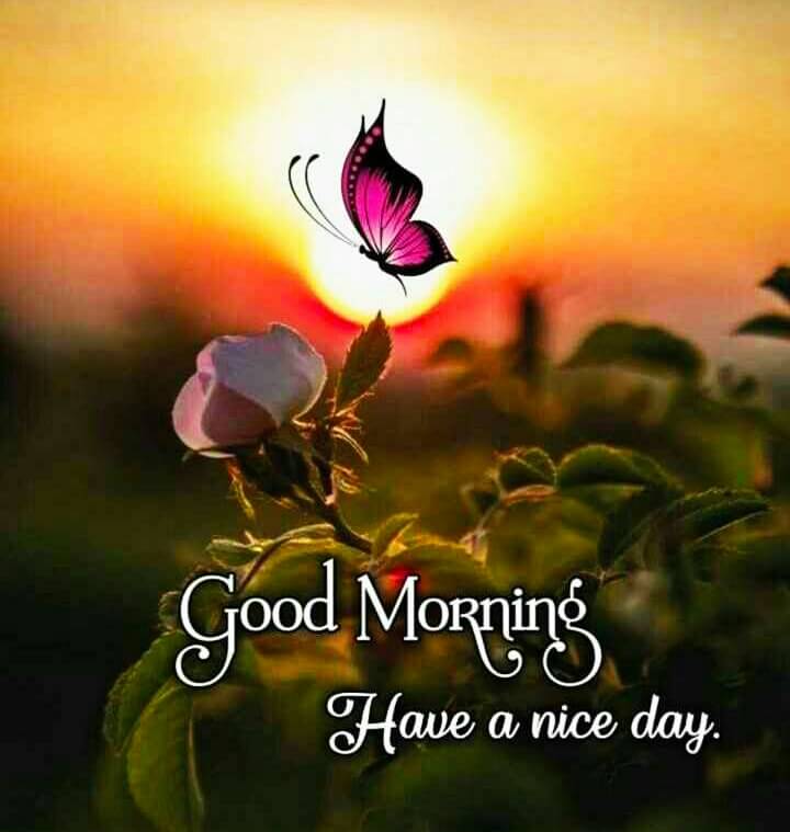 Good Morning Images For Whatsapp