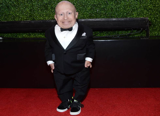 Muere “Mini Me” de la película Austin Powers - DEBOCAENBOCARD.COM