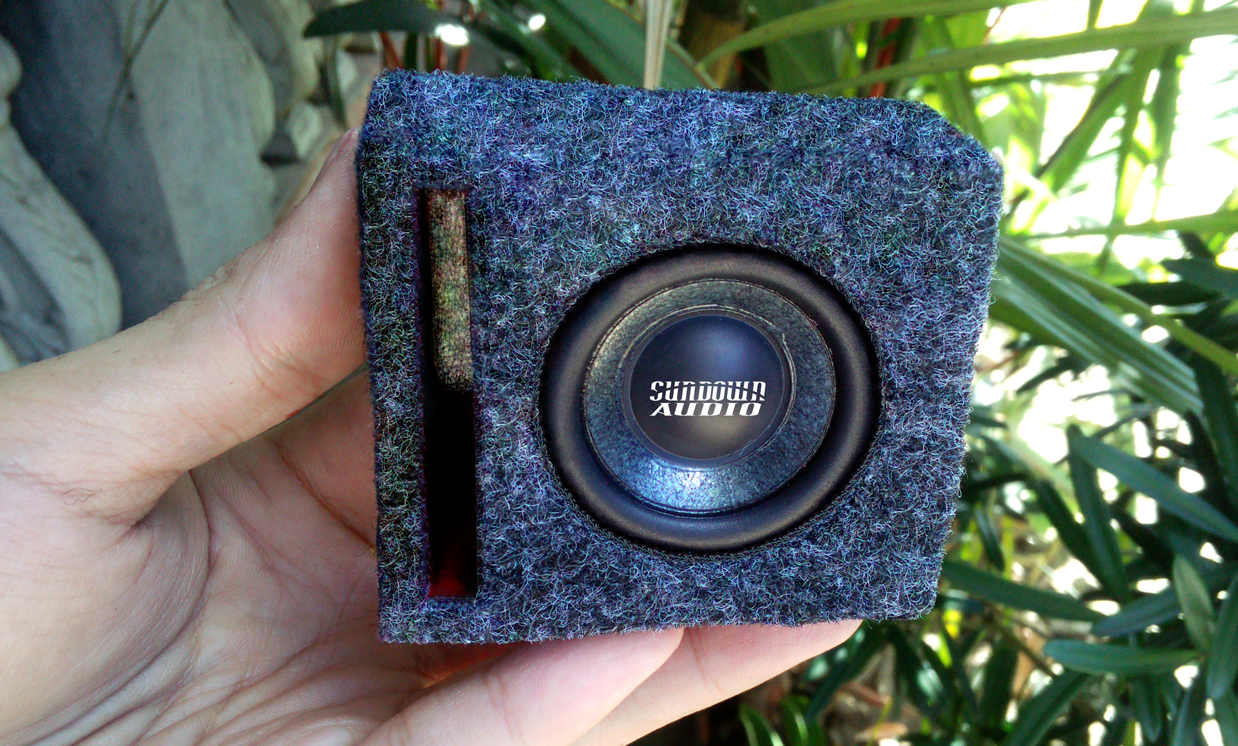 DIY Mini Subwoofer: Mini Subwoofer Wild Bass Test