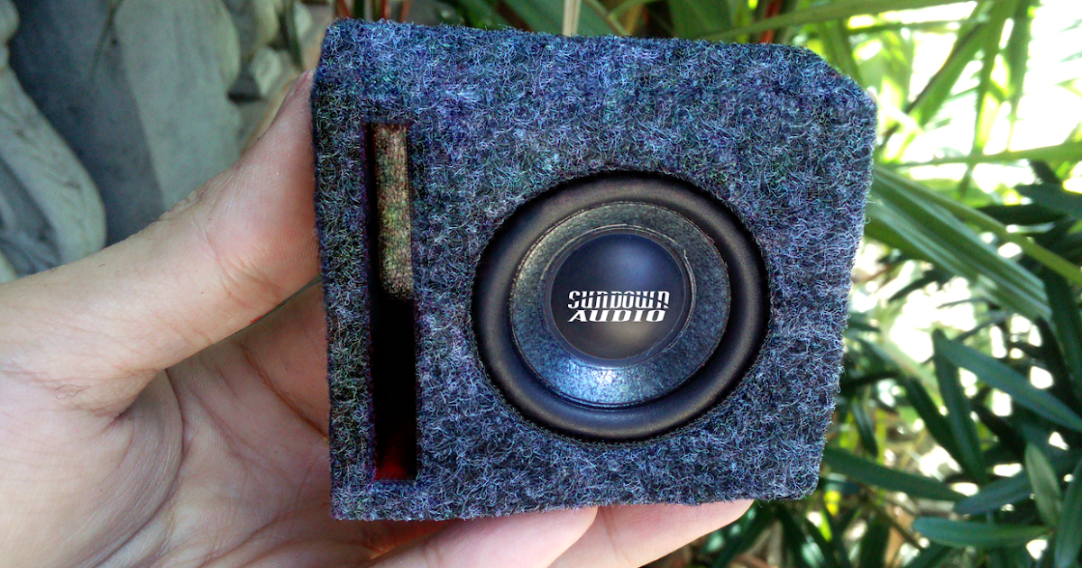 DIY Mini Subwoofer: Mini Subwoofer Wild Bass Test