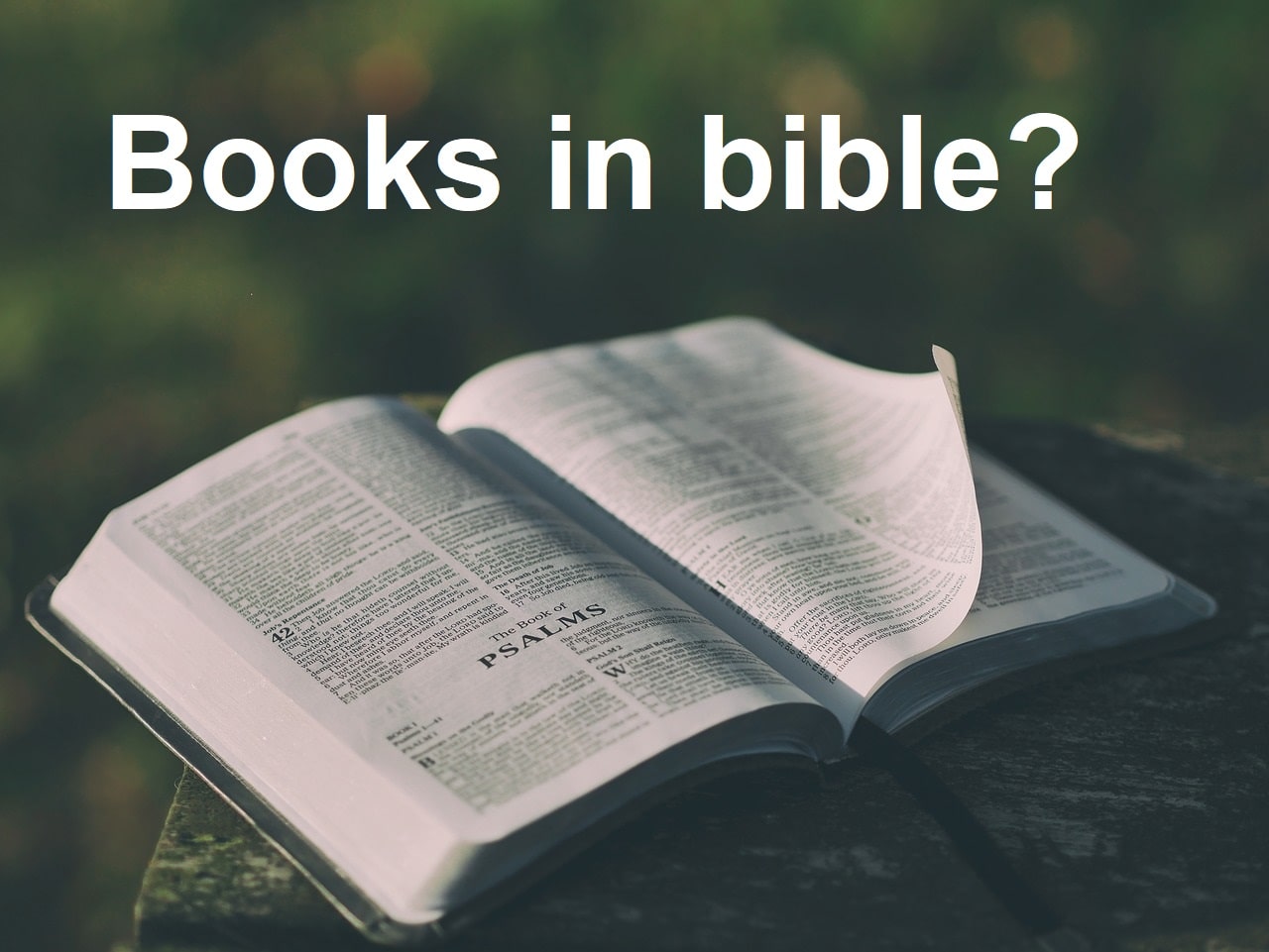 How Many Books Are In The Bible KHANBOOKS how-many-books-are-in-the-bible-khanbooks