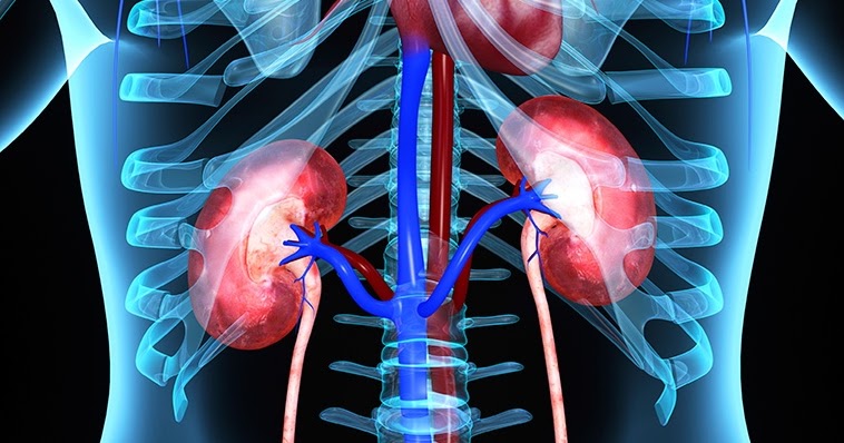 Clinica Arnao-Centro Medico Arnao en Telde:(Centros Integrales de ...