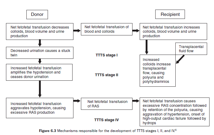 Results | Twin-Twin Transfusion Syndrome (TTTS)