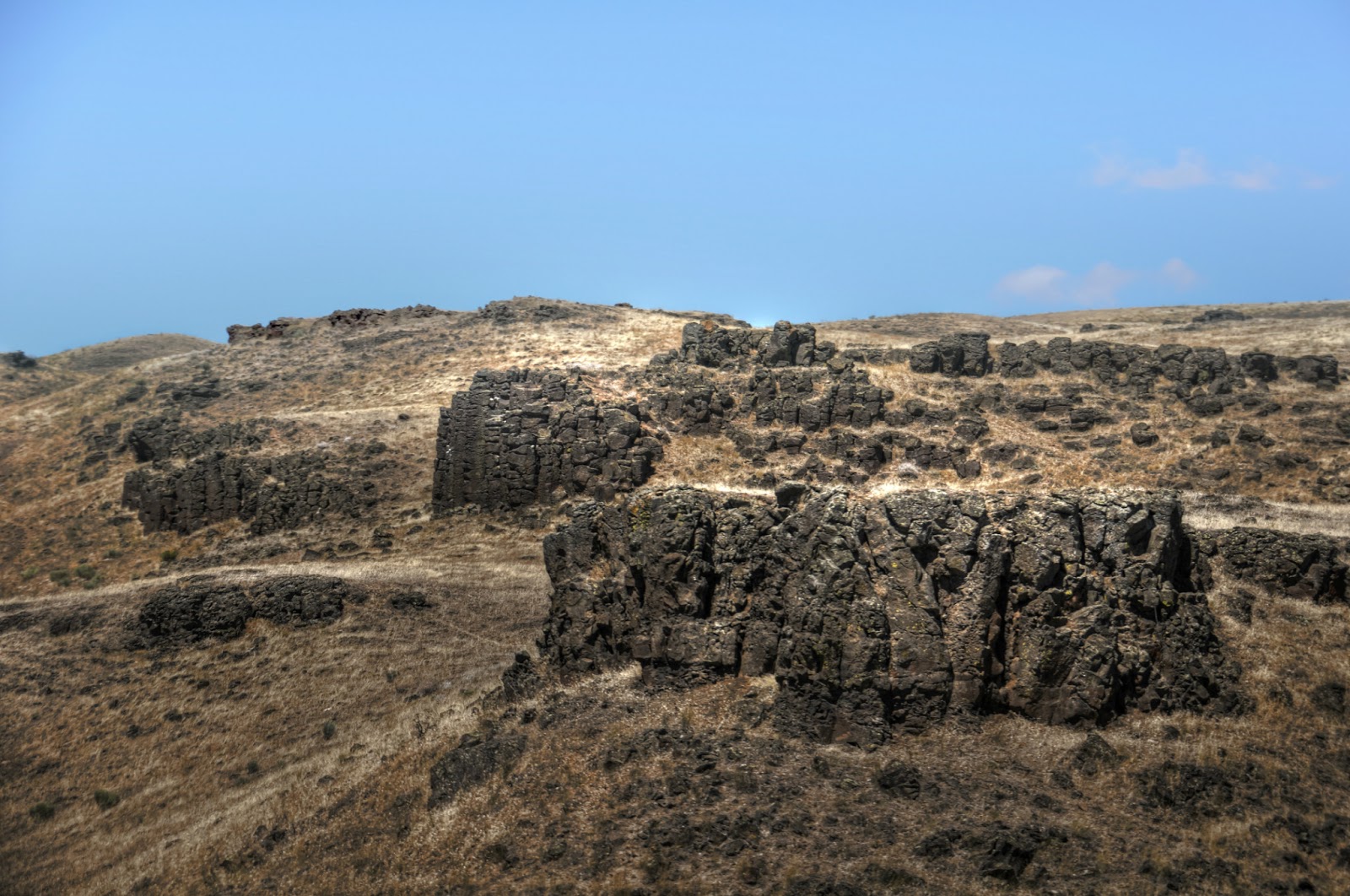 nature big nature small: driving past some scabbiness