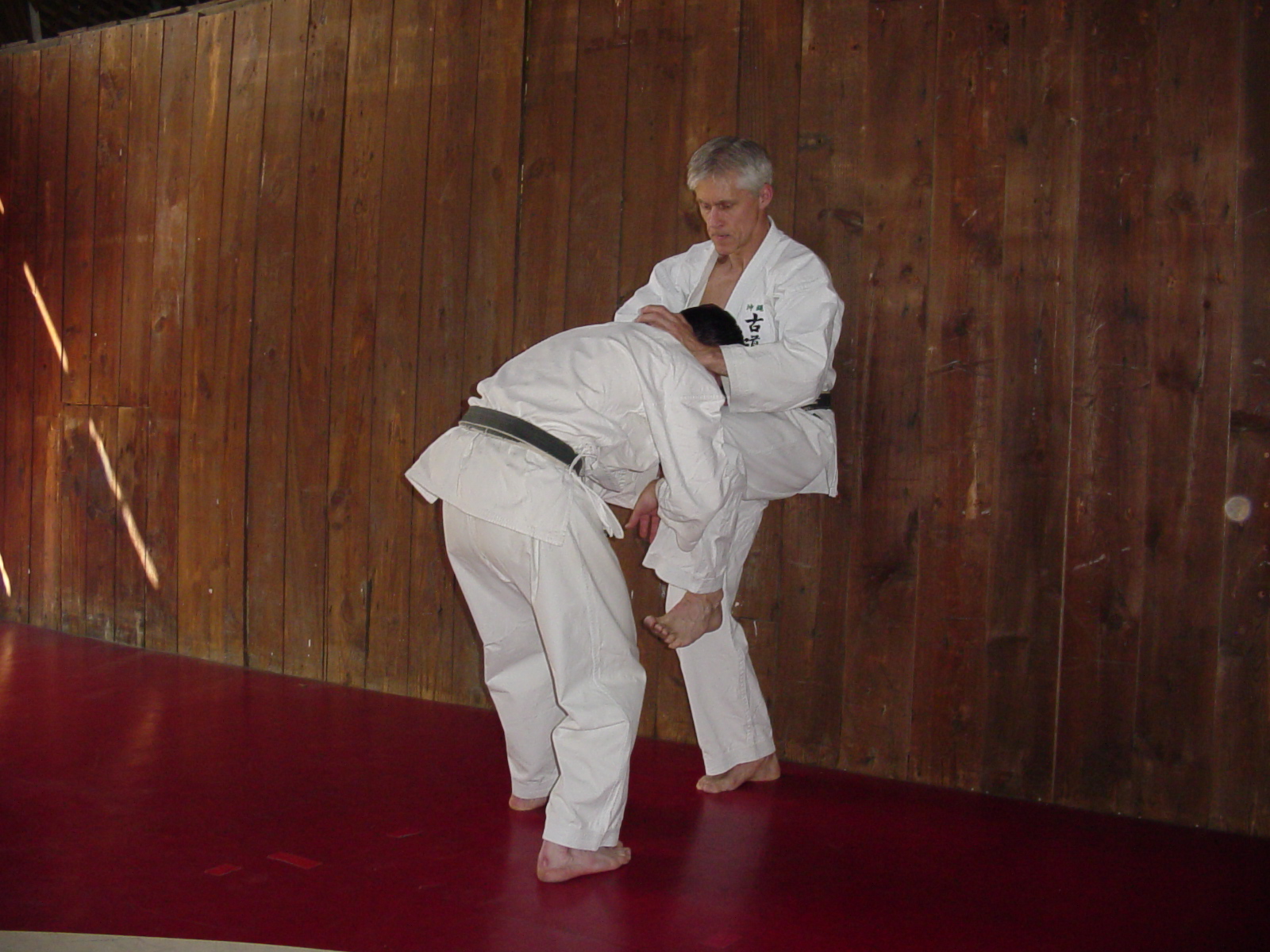 Goju-Ryu Karate-do: You call that a cat stance?!