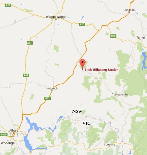 Genealogically Speaking: Oh My, Miss Mary Prince.