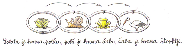 ŽIVA BITJA IZMENJUJEJO SNOVI Z OKOLICO: JEDILNI LIST ZA ŽIVALI