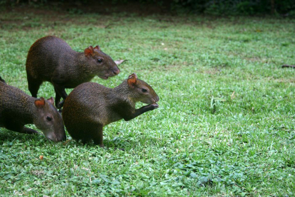 Holistic Rehab with Horticultural Therapy. Serenity Vista Retreat ...