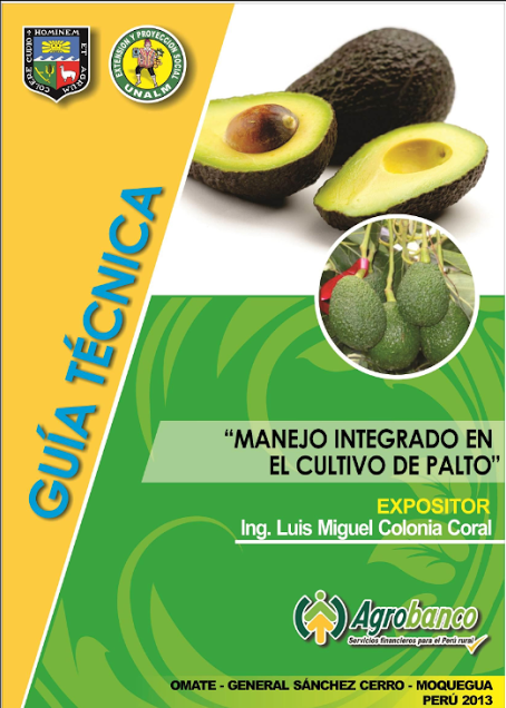 Cultivos Agrícolas: EL CULTIVO DEL PALTO