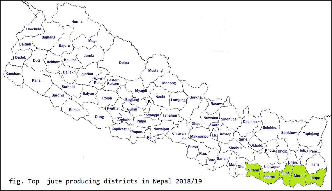 Jute cultivation in Nepal, method and requirement 2021