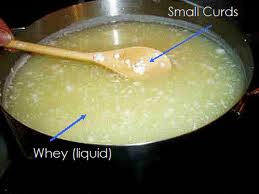 ...Curds and Whey!
