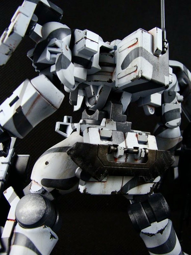 Custom Build: HG 1/144 Tieren Ground Type