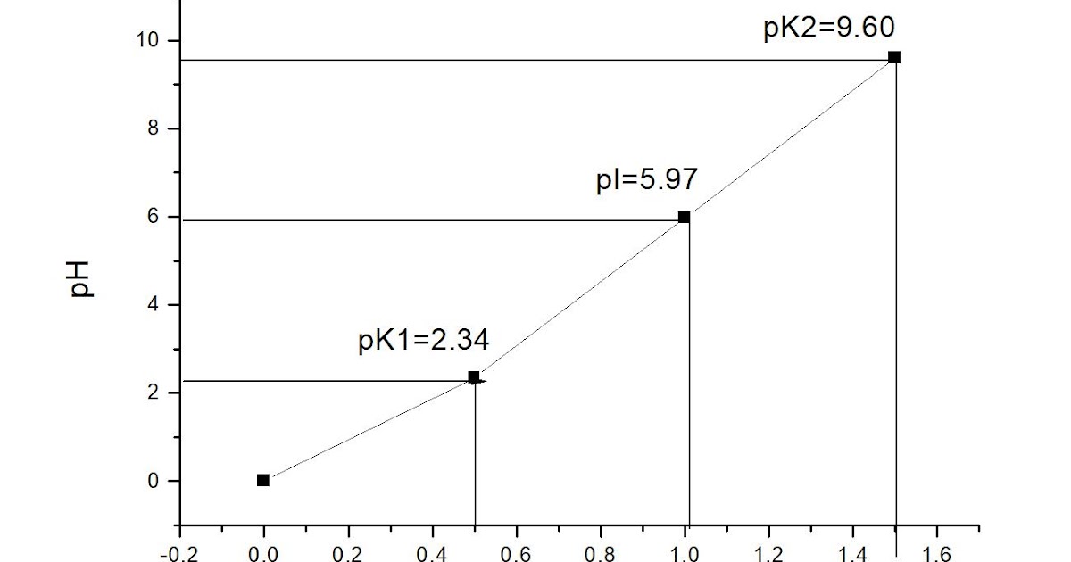 THE BIO: Isoelectric Point: A complete understanding