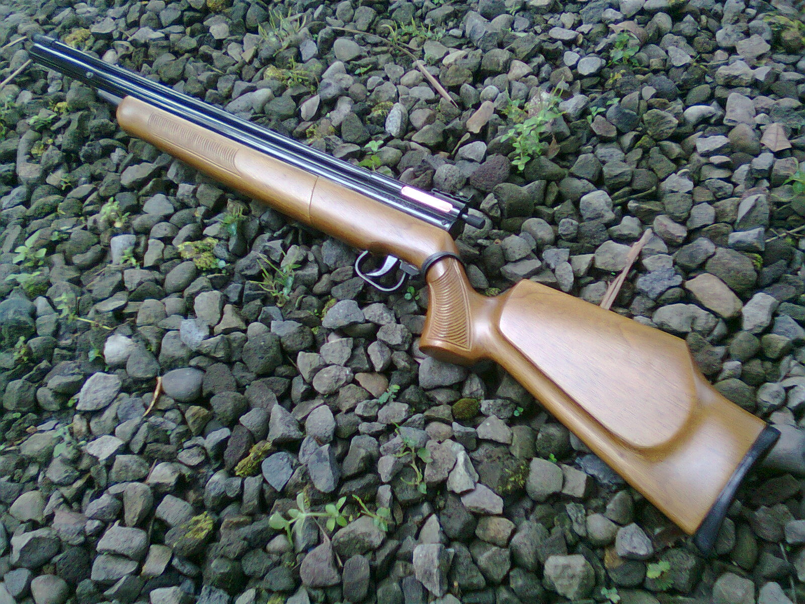 black sniper: Sharp Dragon Long