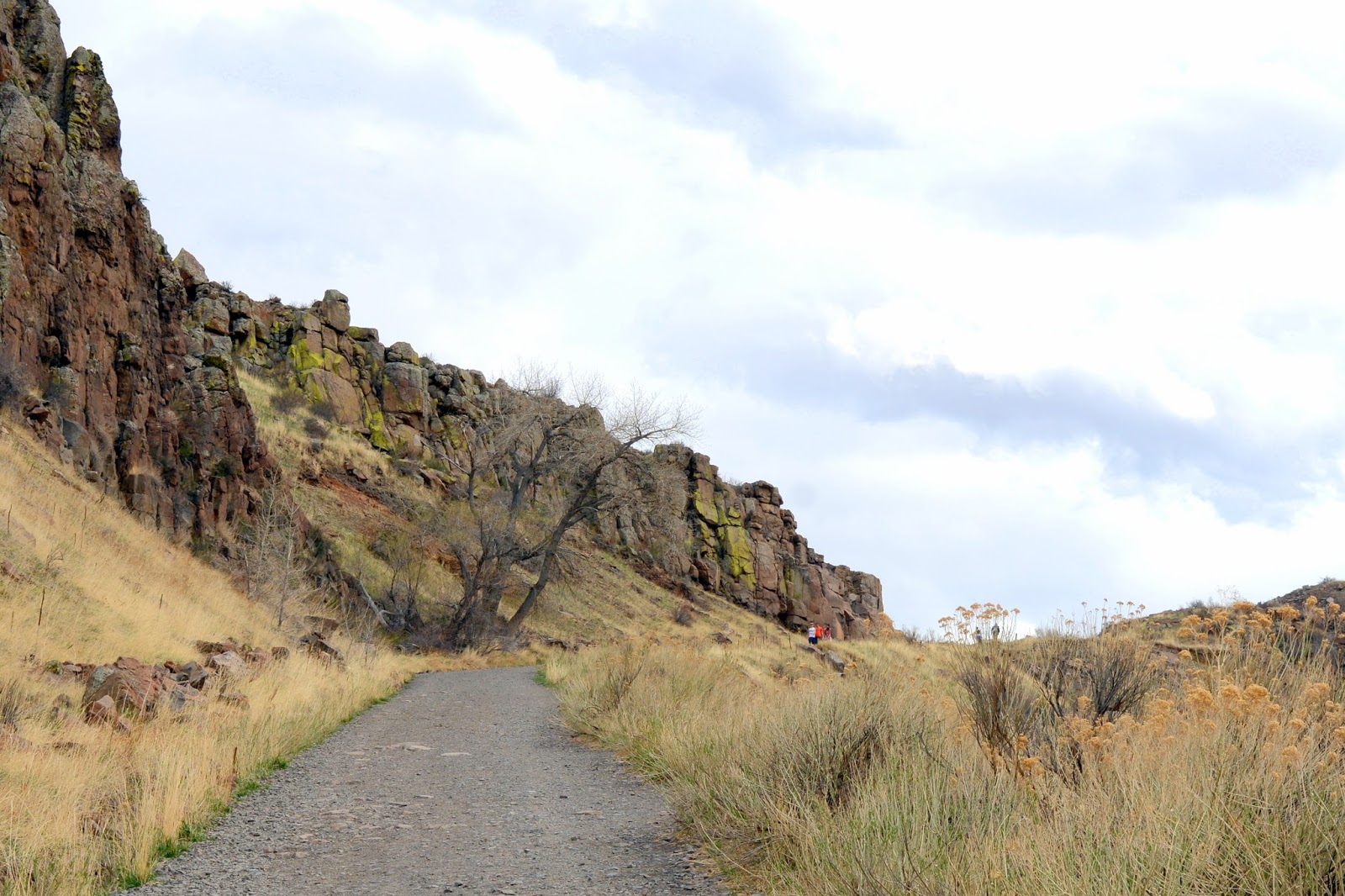 Mille Fiori Favoriti: North Table Mountain Trail and Park, Golden, Colorado