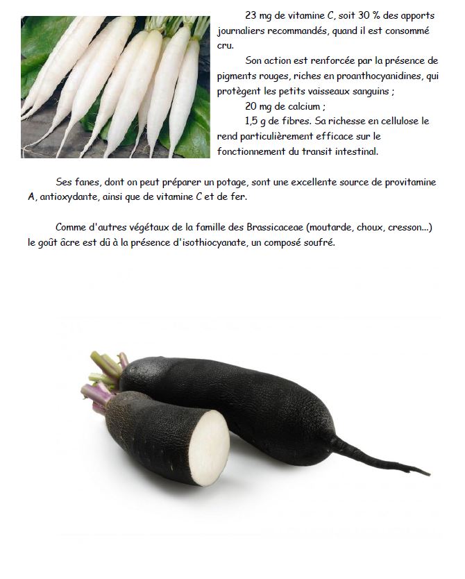 Breuillet Nature: Tout savoir sur les radis