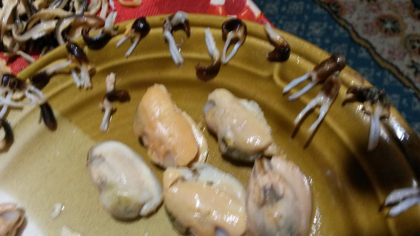 curcubeu culinar: Midii pane și sos picant