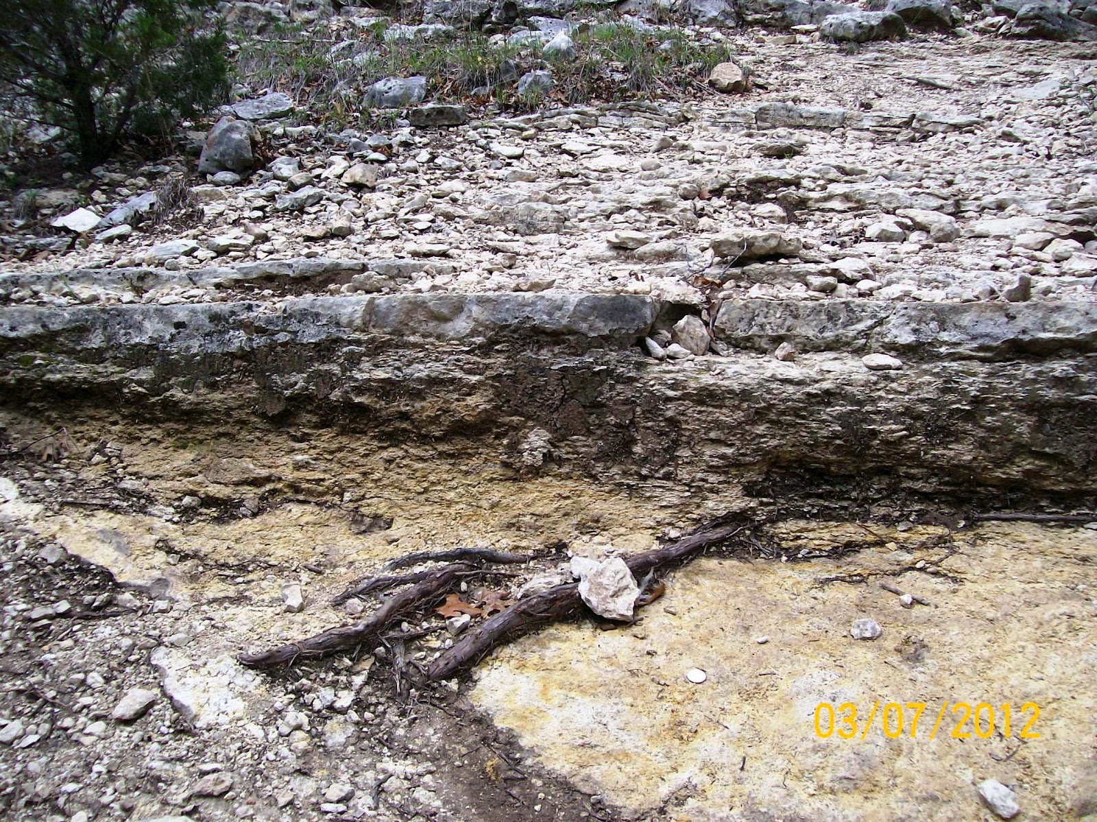 Rockhounding Around: The Austin Chalk