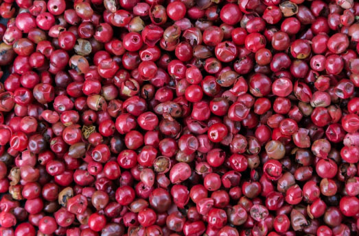 Resep Masakan Enak: Merica atau Lada (Piper Nigrum)