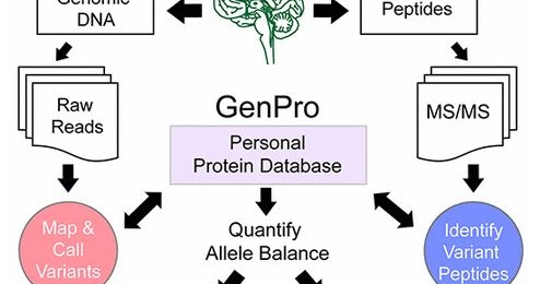 News in Proteomics Research: GenPro -- 1 step closer to personalized ...