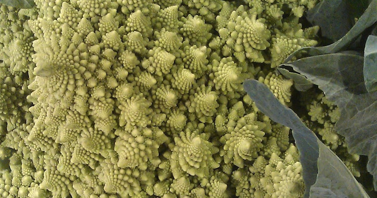 Random Thoughts on Java Programming: Covariant return type