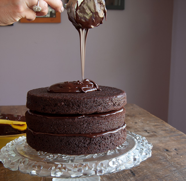 Double Chocolate Layer Cake - That Susan Williams