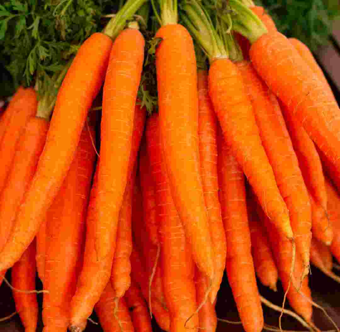 प्रेशर कुकर गाजर हलवा रेसिपी | How to prepare gajar ka halwa in hindi