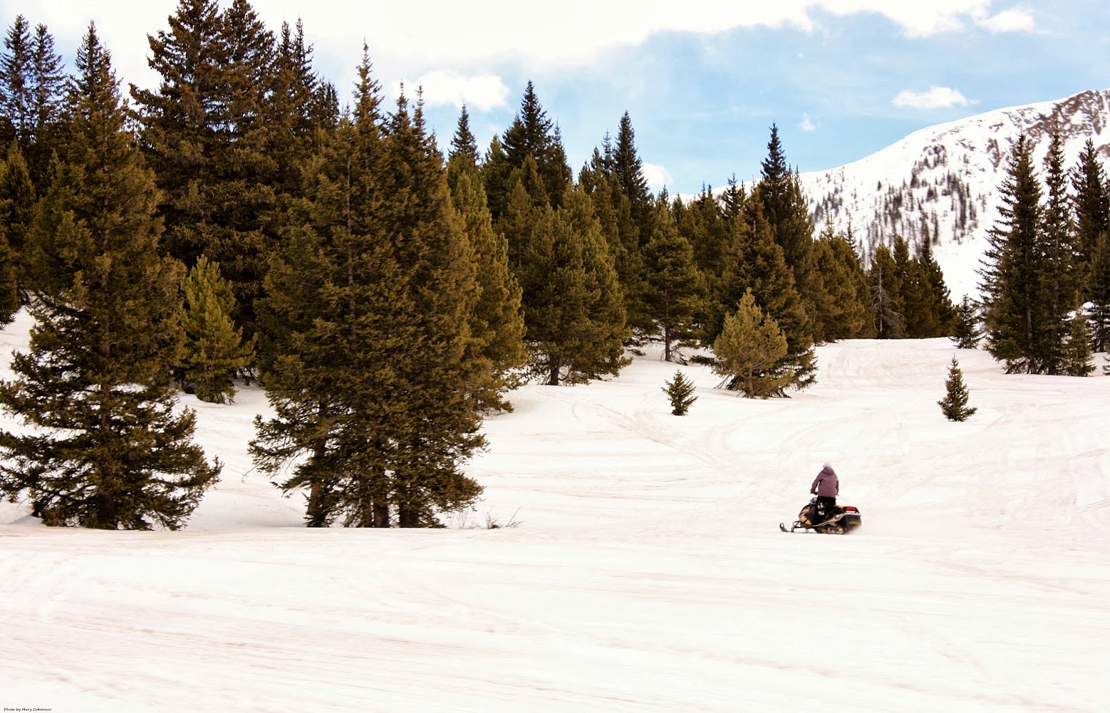 The Southwest Through Wide Brown Eyes: Winter Sports in San Juan County ...